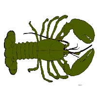Lobster | Diamond Hunt Online Wiki | Fandom