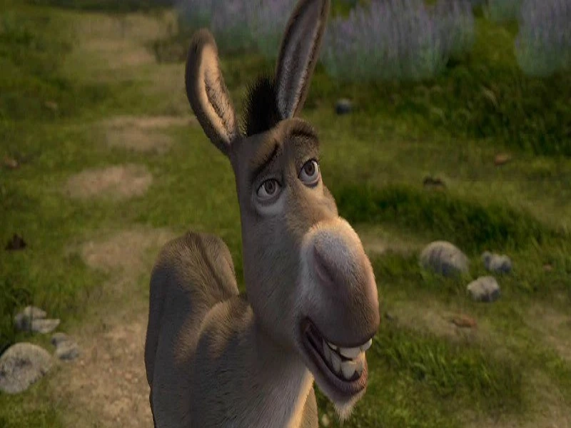 Donkey | DiamondMinerStudios Wikia | Fandom