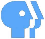 P-Head | DiamondWindows Wikia | Fandom