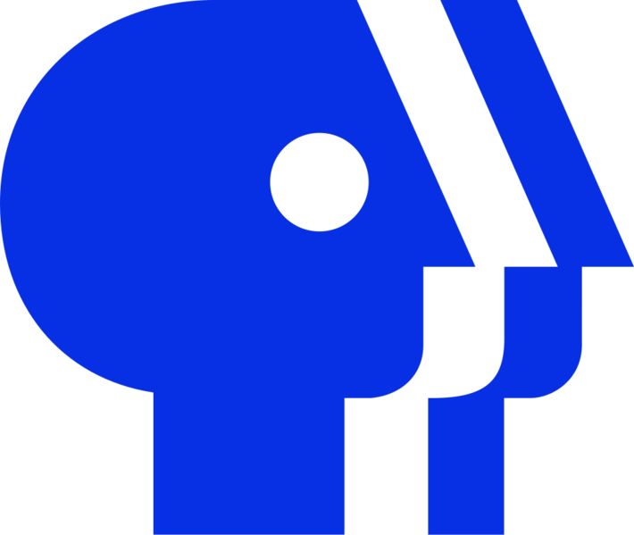 P-Head (1984) | DiamondWindows Wikia | Fandom