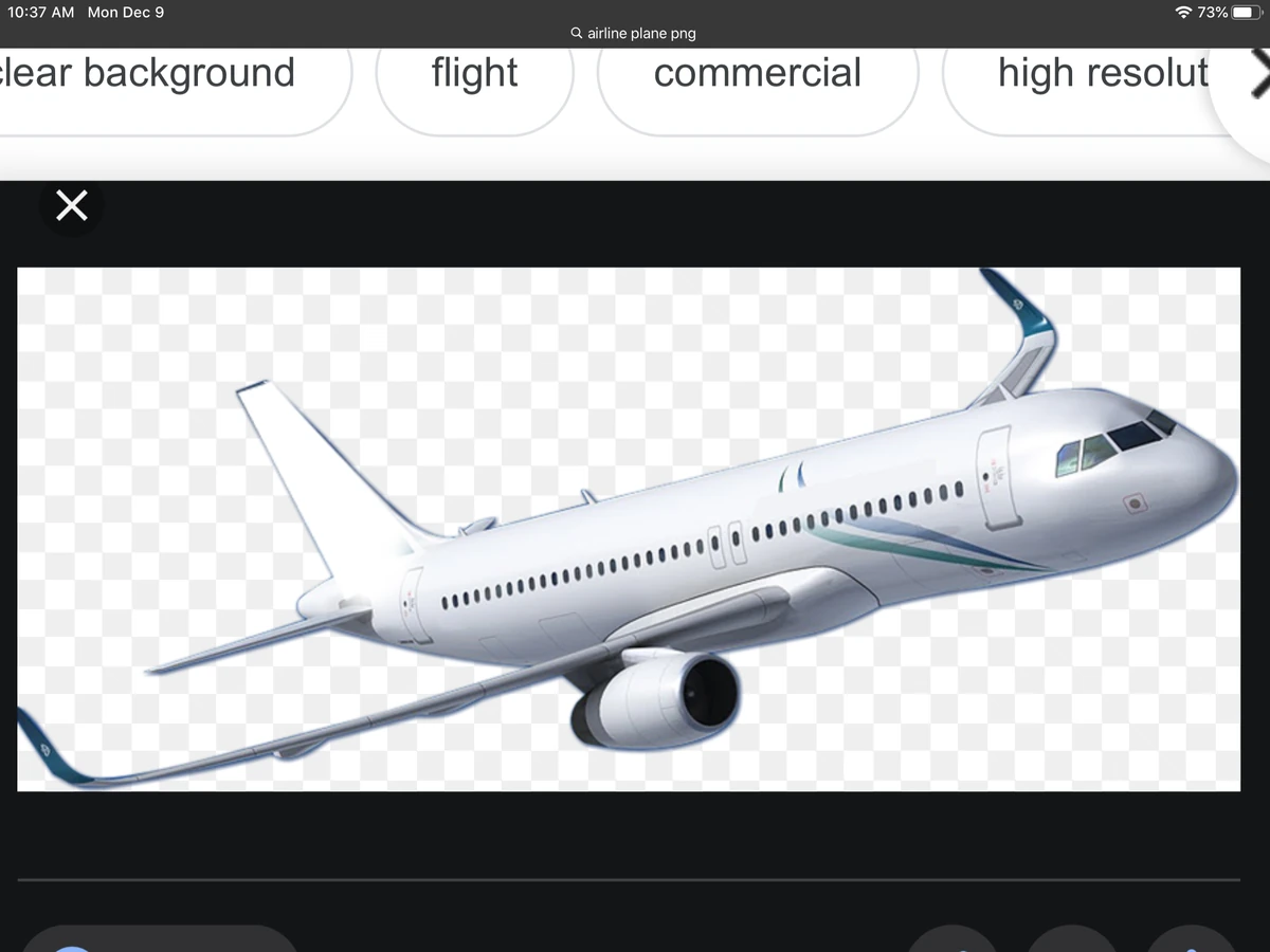 The Craziest Flight In The History of Ever! | Diane Caplan’s Blackey ...