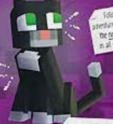 Eeebs | Diary of an 8-bit Warrior Wiki | Fandom