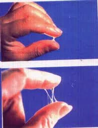 MOCO | Wiki Diccionario Universal | Fandom