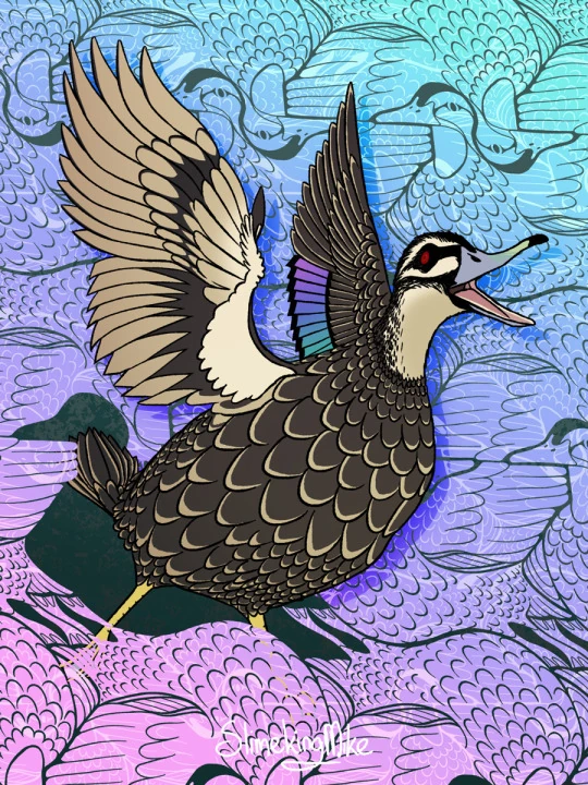 Bill Webb | Dice Funk Wiki | Fandom