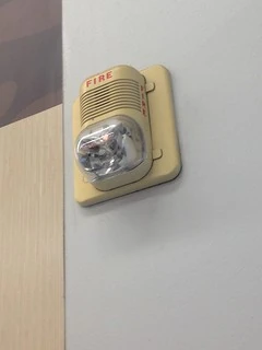 SpectrAlert Classic | Dick Smith Electronics Wiki | Fandom