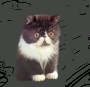 Kitty Amazing (Character) | Dick Figures Wiki | Fandom