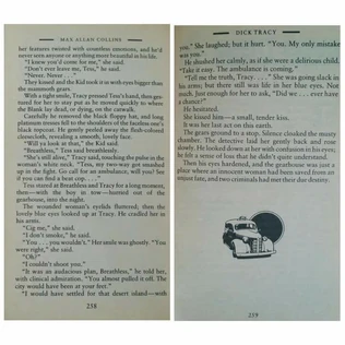 Dick Tracy (1990 film) | Dick Tracy Wiki | Fandom