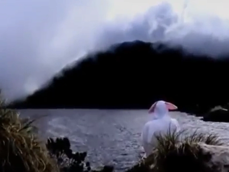 Spook Asem | Die Antwoord Wiki | Fandom