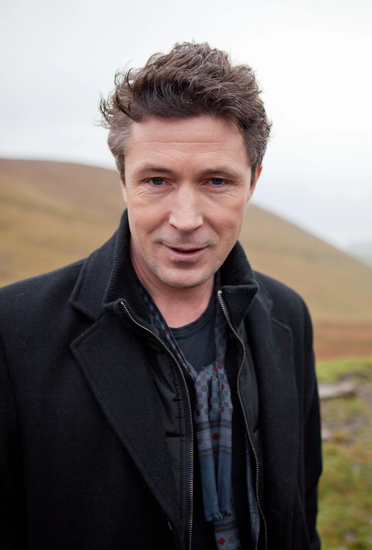 Aidan Gillen | Die Hard scenario Wiki | Fandom