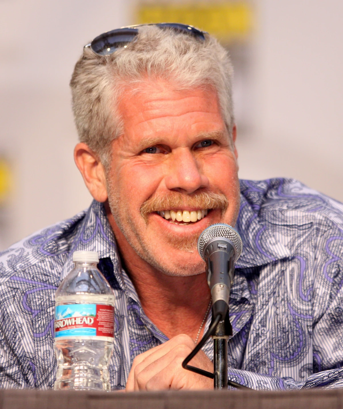 Ron Perlman | Die Hard scenario Wiki | Fandom