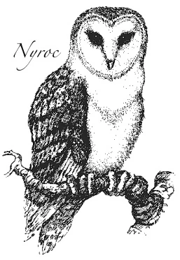 Coryn | Die Legende der Wächter Wiki | Fandom