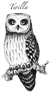 Twilla | Die Legende der Wächter Wiki | Fandom