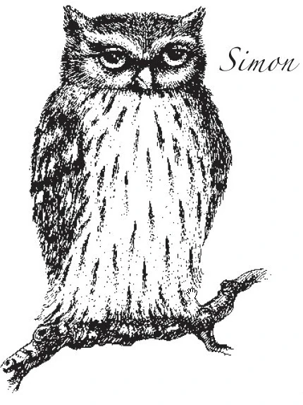 Simon | Die Legende der Wächter Wiki | Fandom