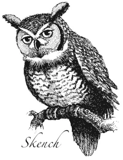 Skench | Die Legende der Wächter Wiki | Fandom