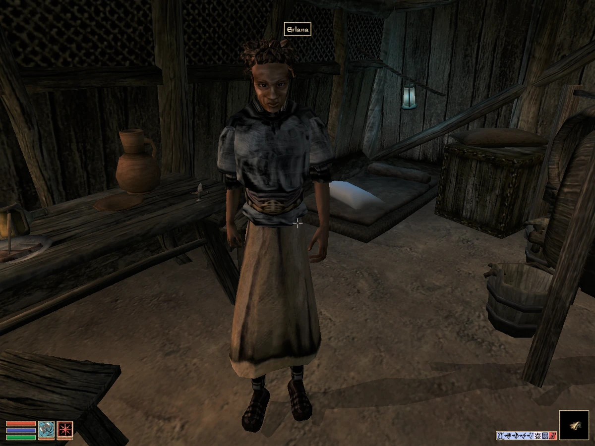 Erlana | Die Welt von Vyn Wiki | Fandom