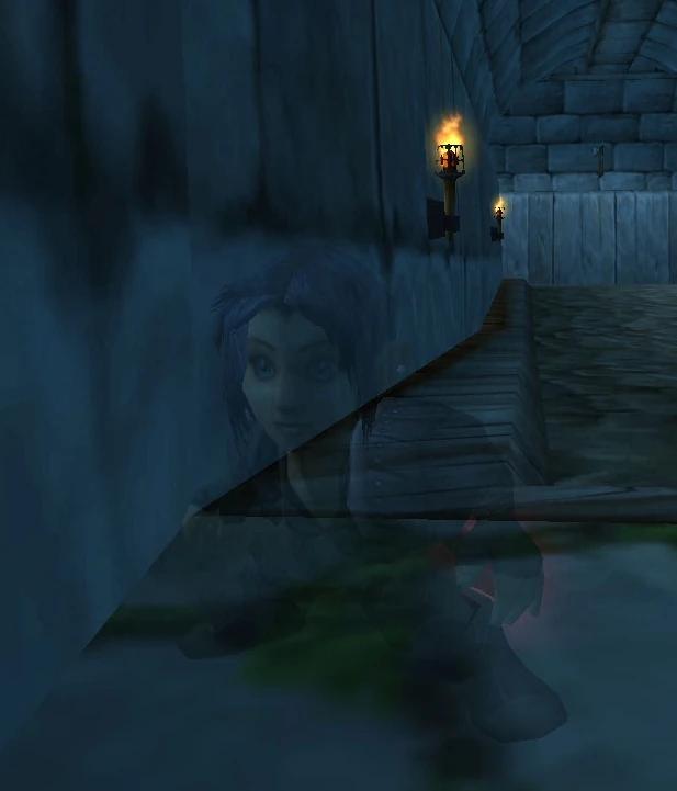 Niddel | Die Aldor Wiki | Fandom