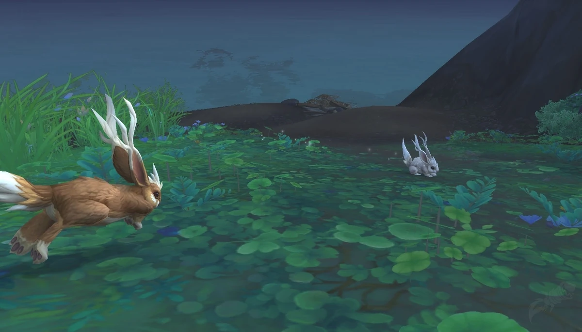 Flausch ist unschlagbar | Die Aldor Wiki | Fandom