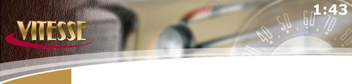 Vitesse | Diecast Models Wiki | Fandom