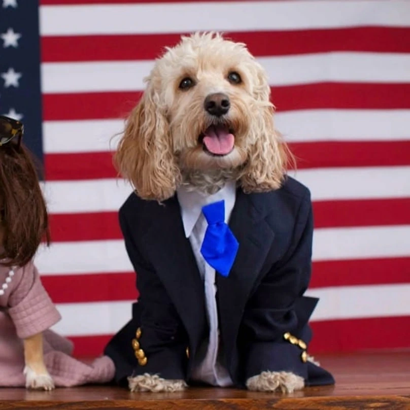 Thomas Patton | DifferentHistory Wikia | Fandom