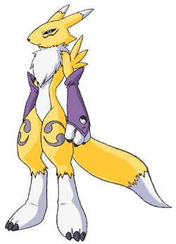 Renamon | Digievolution Wiki | Fandom