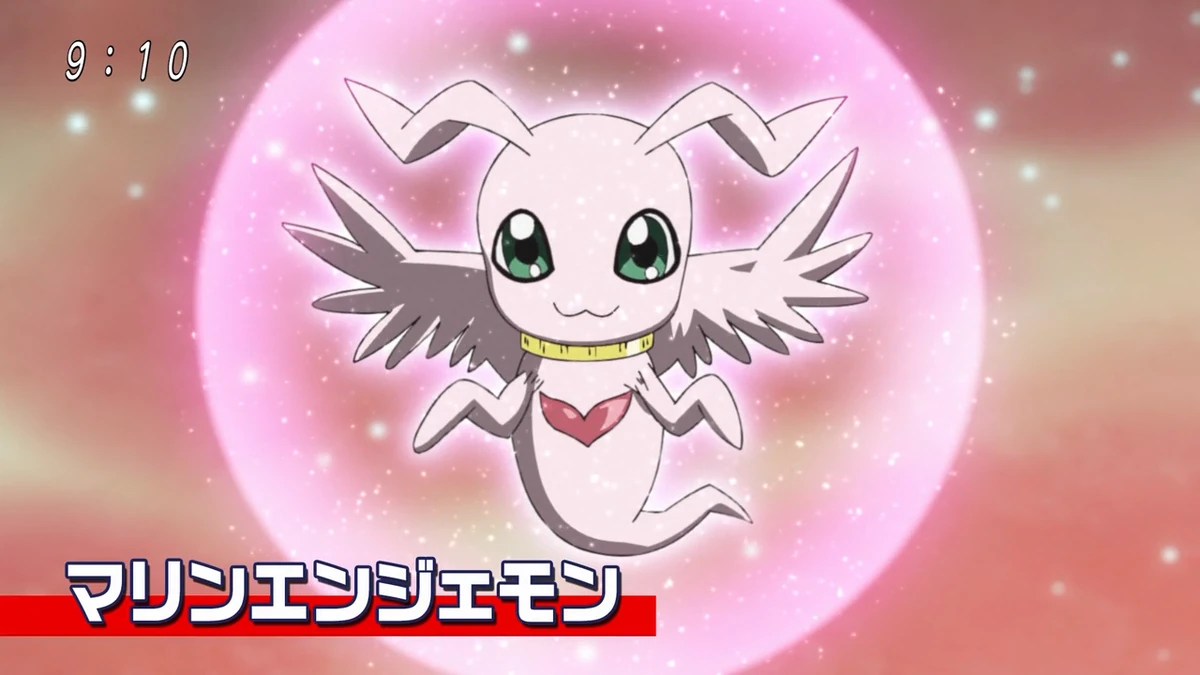 MarineAngemon | Digimon Adventure Wiki | Fandom