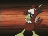 Hawkmon | Digimon Adventure Wiki | Fandom