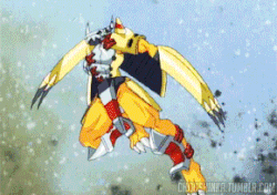 Wargreymon Terra Force