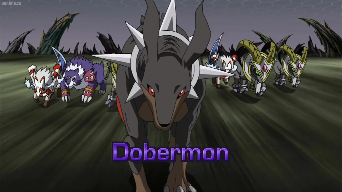 Dobermon | Digimon Fusion Wiki | Fandom