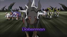 Dobermon | Digimon Fusion Wiki | Fandom