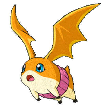 Patamon (Frontier) | Digimon Wiki | Fandom