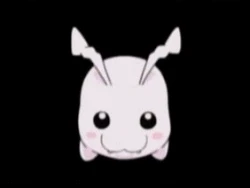 Tokomon/Galería | Digimon Wiki | Fandom