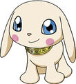 Tailmon (Adventure) | Digimon Wiki | Fandom