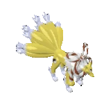 Gallery:Kyubimon | DigimonWiki | Fandom