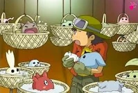 Cocomon | Digimon Wiki | Fandom