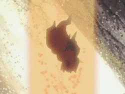 EP01 (Adventure 02)/Analizador | Digimon Wiki | Fandom