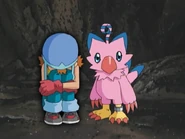 Sora Takenouchi | Digimon Wiki | Fandom
