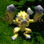 Digimon Digital Card Battle/Cards | DigimonWiki | Fandom