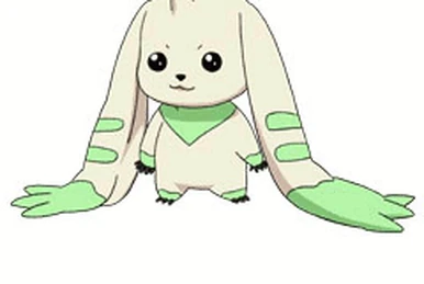 Kokomon Evolution