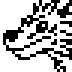 Gallery:Garurumon | DigimonWiki | Fandom