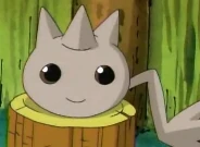 Cocomon | Digimon Wiki | Fandom