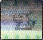 Zeromaru | Digimon Wiki | Fandom