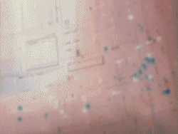 EP21 (Adventure 02)/Analizador | Digimon Wiki | Fandom