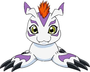 Fan:Gomamon (Advance) | DigimonWiki | Fandom