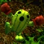 Digimon Digital Card Battle/Cards/Nature | DigimonWiki | Fandom