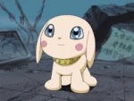 Gallery:Salamon | DigimonWiki | Fandom
