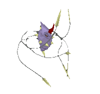 Gallery:Chrysalimon | DigimonWiki | Fandom