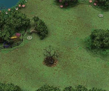 ป่าพื้นเมือง | Digimon Wiki | Fandom