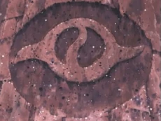 Storm Of Friendship | DigimonWiki | Fandom