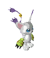 Gatomon | Digimon Wiki | Fandom