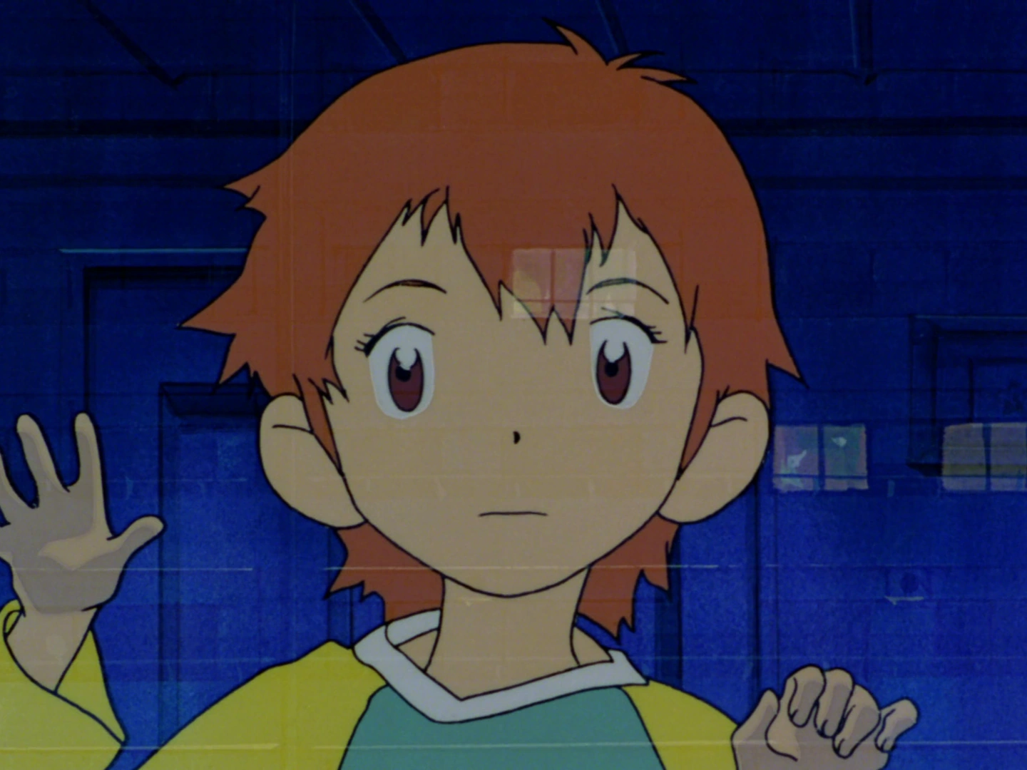 Digimon Sora Takenouchi Barefoot